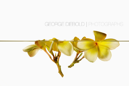 GEORGE DIEBOLD | PHOTOGRAPHS