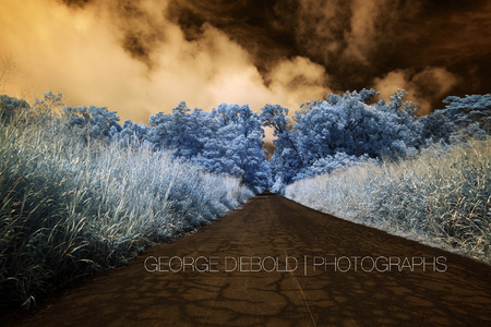 GEORGE DIEBOLD | PHOTOGRAPHS